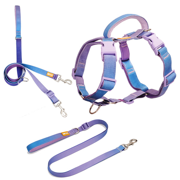 Two points set - DFpet